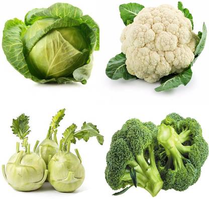 YI Saler Broccoli, Cabbage(patta gobhi), Lump cabbage(Ganth Gobhi ...