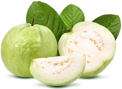 Royal Paradise Garden Rare Hybrid Guava " Taiwan White " Exotic 40 Seed ...
