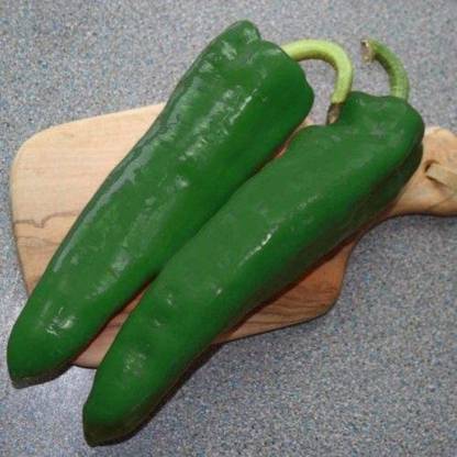 CYBEXIS F1 Hybrid Chilli Big Jim Seeds-300 Seeds Seed Price in India ...