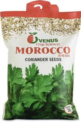 Morocoo coriander seed Morocco coriander Seed Price in India - Buy ...