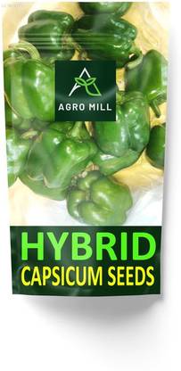 AGRO MILL HYBRID F1 PREMIUM QUALITY CAPSICUM/SHIMLA MIRCH FOR HOME ...