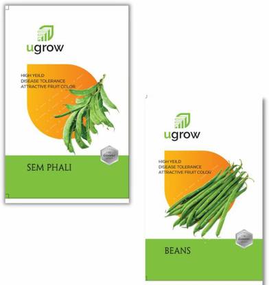 agri max gardens f1 hybrid gawar phali green beans seeds, For Home ...