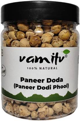 vamitv Paneer Dodi | Paneer Phool | Withania Coagulan | Paneer ...