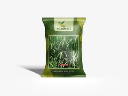 Agromate CSV-33MF, FODDER SORGHUM Seed Price in India - Buy Agromate CSV-33MF, FODDER SORGHUM ...