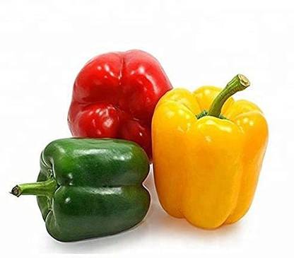 JRYU Shimla Mirch F1 Hybrid Vegetable Seed Price in India - Buy JRYU ...