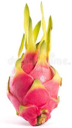 Oliver dragon fruit seeds Seed Price in India - Buy Oliver dragon fruit ...