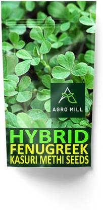 AGRO MILL ORGANIC KASURI METHI/FENUGREEK/KASOORI METHI HYBRID SEEDS FOR ...