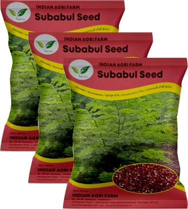 IAgriFarm SUBABUL SEED Pack of - 3 Kg - SAFED BABOOL(LEUCAENA ...