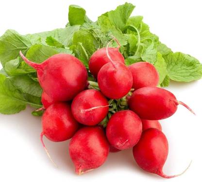 Mozette Red round Radish Seed Price in India - Buy Mozette Red round ...