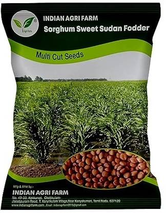 IAgriFarm Sorghum Sudan Grass Fodder Seeds - 1 Kg - Multi Cut Fodder Seeds Seed Price in India ...