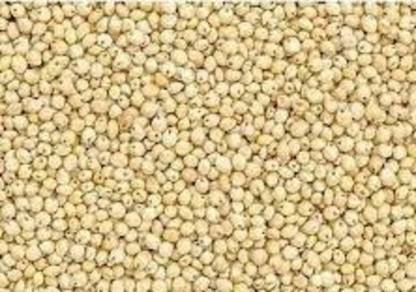 ANDARISTORE ANDARI STORE White Jowar Grains 500g/Cholam/ Vella solam ...