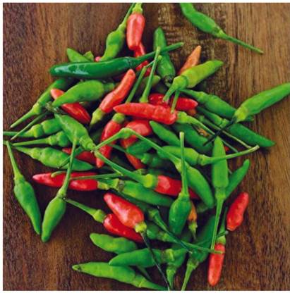 greenfarm NXC- Green Chilli /Mirchi Seeds/ Organic , 200 X Seeds ...