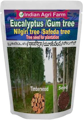 IAgriFarm Eucalyptus tree /Gum /Nilgiri/Safeda tree seeds for ...