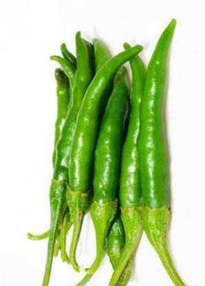 greenfarm NXC- Chilli Seeds / Mirchi Seeds , Best Quality , 250 X Seeds ...