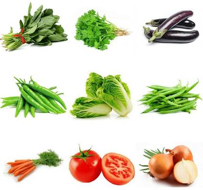 SimXotic Napa Cabbage, Beans, Cholai, Carrot, Chili, Dhaniya, Onion, Brinjal, Tomato Seed Price ...