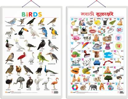 Set of 2 Birds and Marathi Varnamala (Marathi) Early Learning ...