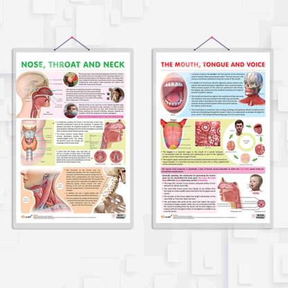 NOSE, THROAT AND NECK chart and THE MOUTH, TONGUE AND VOICE chart ...