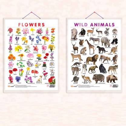 FLOWERS CHART HARD LAMINATED and WILD ANIMALS CHART HARD LAMINATED ...