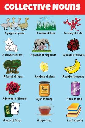 "Collective Nouns" Kids Education Poster|Decorative Early Learning ...