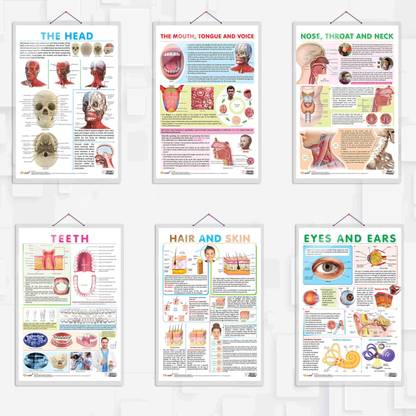 TEETH, NOSE, THROAT AND NECK, THE MOUTH, TONGUE AND VOICE, THE HEAD ...