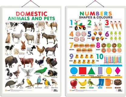 Set of 2 Domestic Animals and Pets and Numbers, Shapes & Colours Early ...