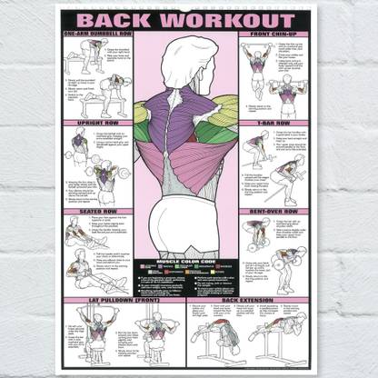 Back Workout Poster, Gym Poster for Wall, Workout Poster for Gym Paper ...