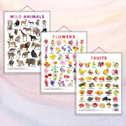 FRUITS CHART HARD LAMINATED, FLOWERS CHART HARD LAMINATED, and WILD ...