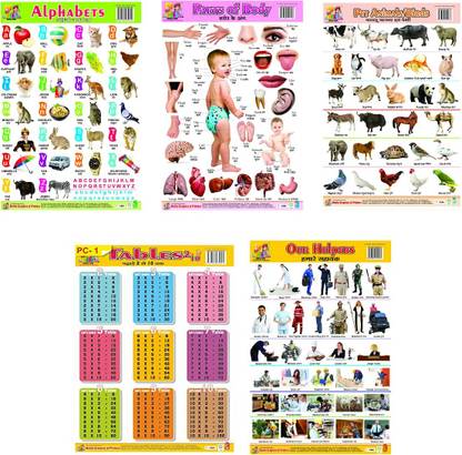 Combo of 5 Learning Charts Alphabet | Our Helpers | Parts Of Body | Pet ...