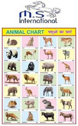 Learning Educational Charts for Kids | Animals Chart For Kids | Gloss ...