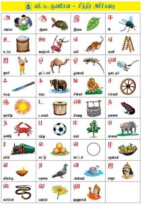 Hindi alphabet chart Poster Multicolor Photo Paper Print Poster ...