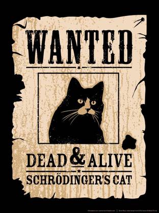 bCreative Schrodingers Cat (Officially Licensed) Fine Art Print ...