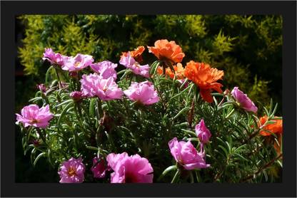 Flower Scenery Nature Poster with A4 Size Frame F-246 Paper Print ...
