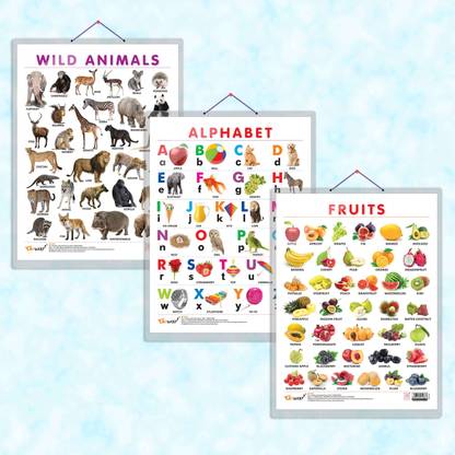 ALPHABET CHART HARD LAMINATED, FRUITS CHART HARD LAMINATED, and WILD ...