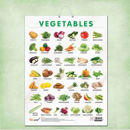 VEGETABLE CHART GLOSS LAMINATED |"Explore the World of Vegetables ...