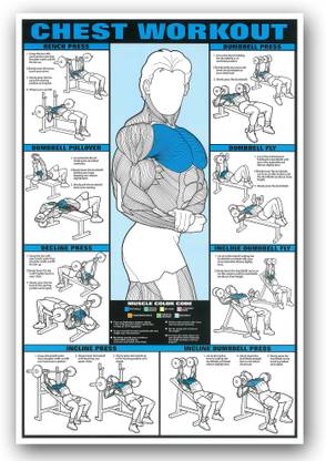 Motivational Inspirational Chest Workout Exercise Gym Poster - 24 x 36 ...