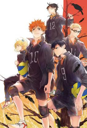 Karasuno High Matte Finish Poster Paper Print - Animation & Cartoons ...