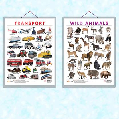 TRANSPORT CHART HARD LAMINATED and WILD ANIMALS CHART HARD LAMINATED ...