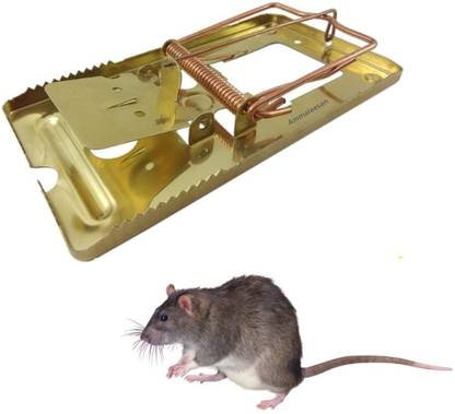 Ammaieesan Classic Metal Rat Trap Brass Coated Live Trap Price in India ...