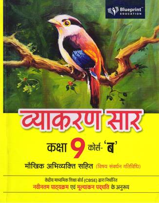 Blueprint Vyakaran Sar Class - 9 (Course - 'b'): Buy Blueprint Vyakaran ...