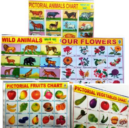 Combo Of Five Kids Chart- Pictorial Animals Chart,wild Animals ,our ...