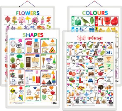 Set of 4 Flowers, Colours, Shapes and Hindi Varnamala Early Learning ...