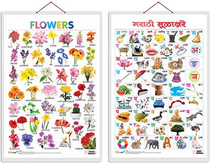 Set of 2 Flowers and Marathi Varnamala (Marathi) Early Learning ...