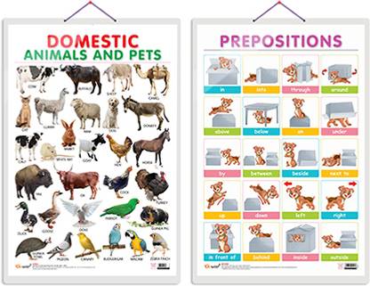Set of 2 Domestic Animals and Pets and PREPOSITIONS Early Learning ...