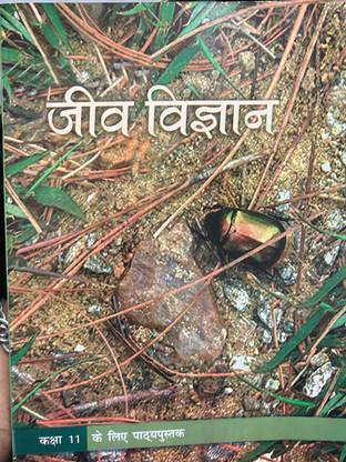 Ncert Biology Class 11 Hindi Medium 2023 Edi: Buy Ncert Biology Class ...