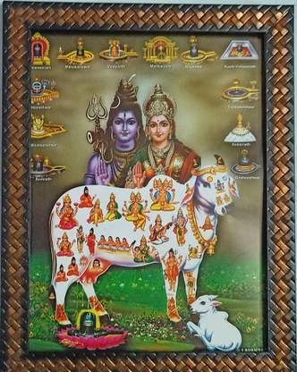 VGS MARKETINGS Shiva Parvati Devi Blessing Religious Frame Price in ...