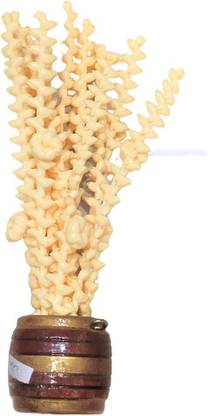 HOIVA Para with Pookula,Thengin Pookkula, Coconut Flower - 50 cm ...