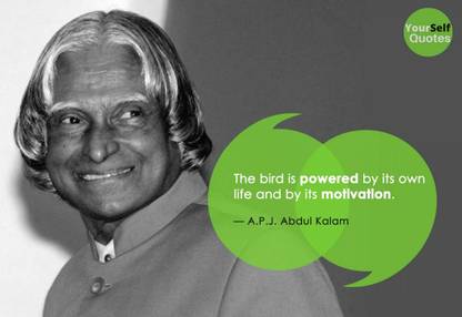 Online Collection 30.48 cm apj abdul kalam Stickers, apj abdul kalam ...