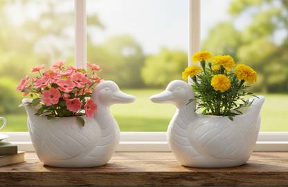 GROW GREEN Duck Pot Flower Pot Home Decor Plant Container Set (Pack of ...