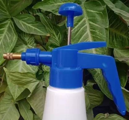 SOULFLARE pictures shown are for illustration purpose only actual ...