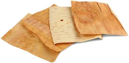 REDIDAS Pack of 5p.Bhojpatra/Betula utilis/Bhurjapatra/Himalayan Birch ...